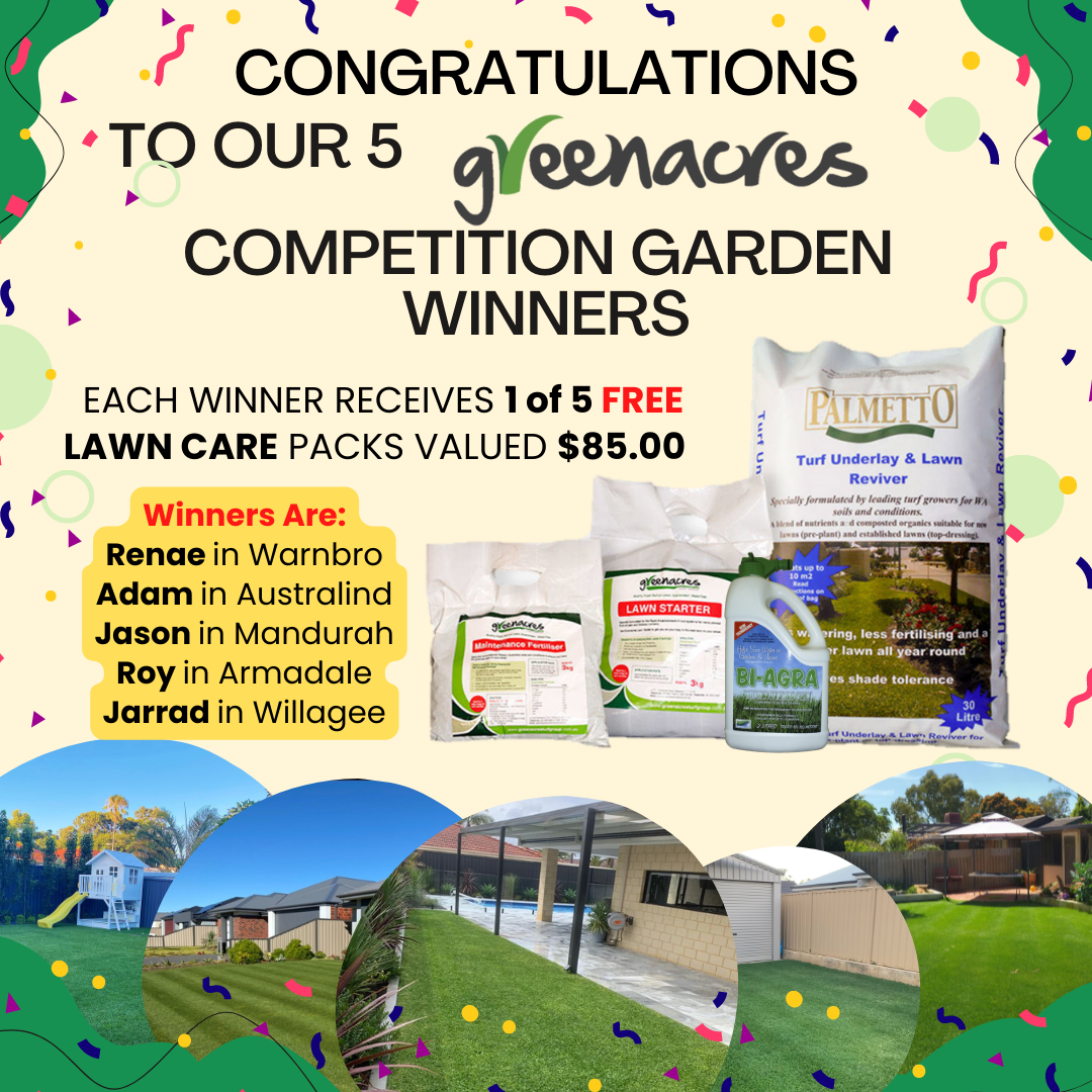 Greenacres Garden Winner |Greenacres Turf Group